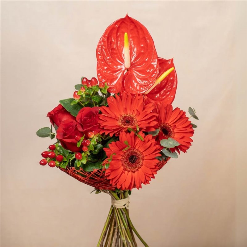 Ramo Red